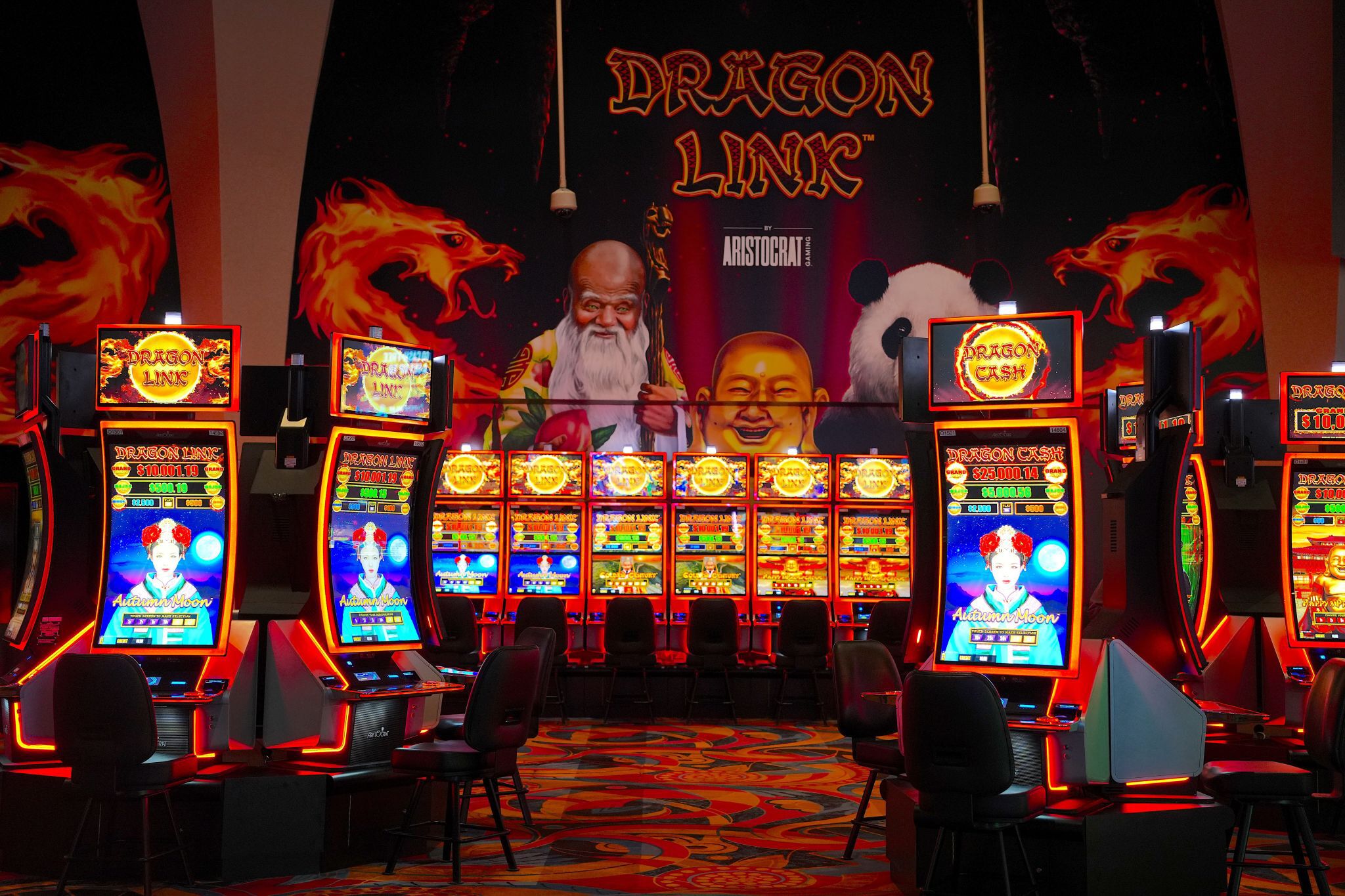 Uma fileira de máquinas caça-níqueis com o logotipo Dragon Link, uma grande estátua de Buda e um banner com o mesmo logotipo.
