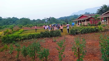 Terrenos do alojamento