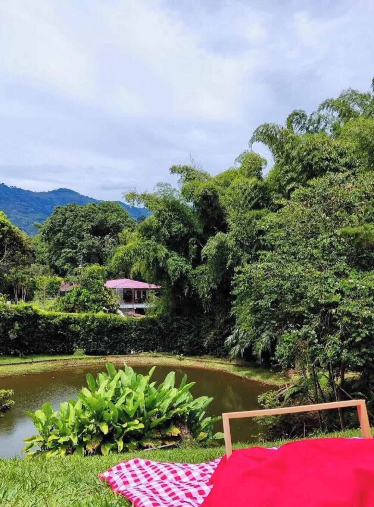 Área da propriedade