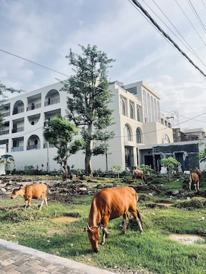 Fachada do alojamento