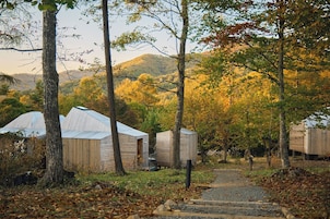 Uma trilha leva a cabanas de madeira rodeadas por árvores em uma área florestal.