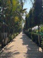 Terrenos do alojamento