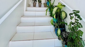 Uma escadaria com degraus brancos, plantas em vasos nas laterais e objetos decorativos pendurados nas paredes.