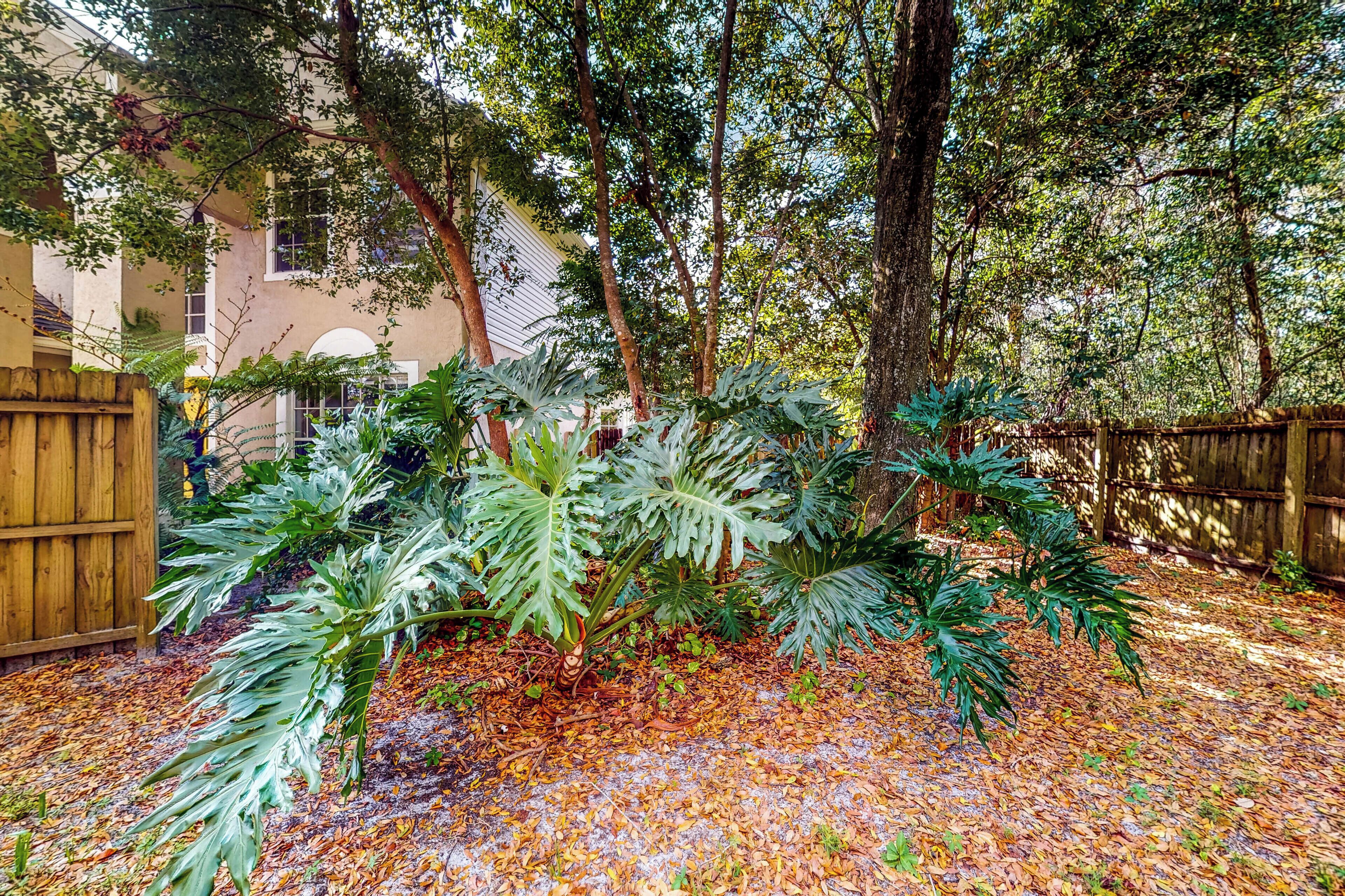 Casa (4 Bedrooms) | Interior