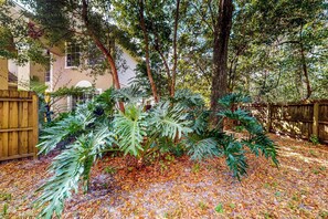 Casa (4 Bedrooms) | Interior