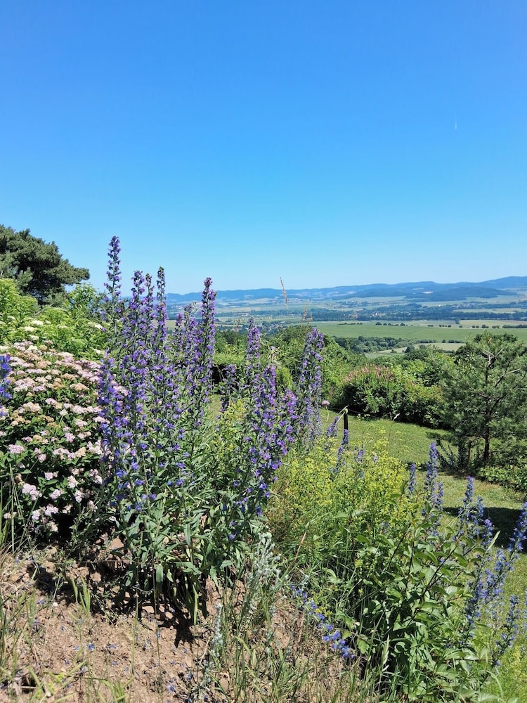 Vrbo Property - Latest Reviews, Deals & Photos 2026 - vrbo.com