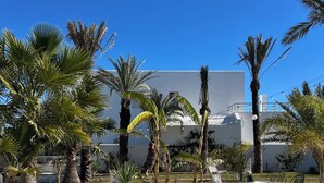 Área de piscina com céu azul, palmeiras e mobiliário de exterior.