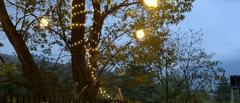 Espaço ao ar livre com mesas e cadeiras, rodeado por árvores e luzes de Natal.