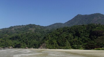 Apartamento | 2 quartos