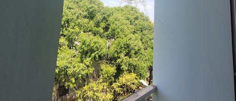 Vista da propriedade