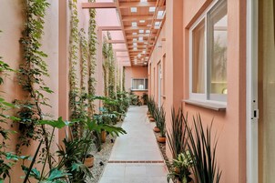 Área da propriedade