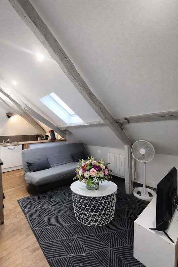 Charmant Nid Sous Les Combles Centre & Gare - Ibis Styles Tours Centre