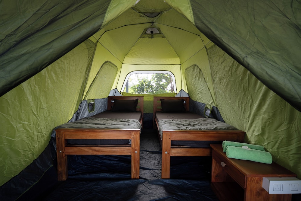 Deer Meadows - Bandipur