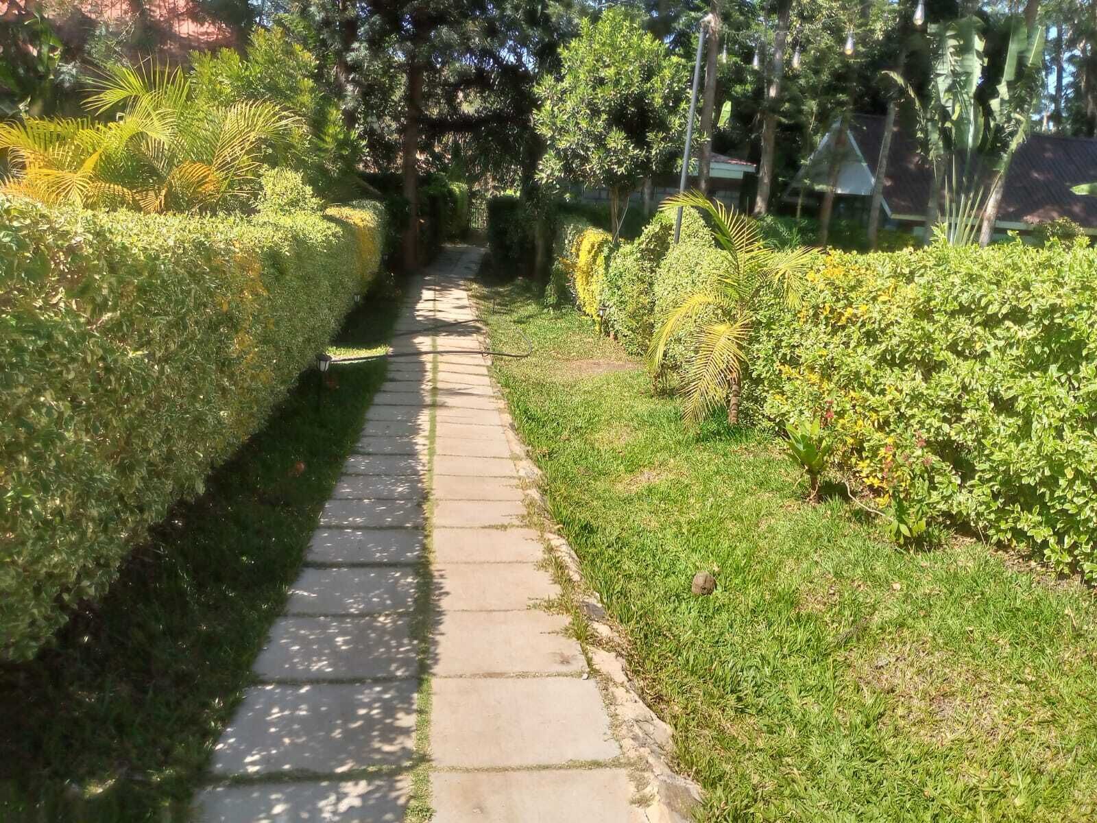 Estúdio conforto, vista para o jardim | Área da propriedade