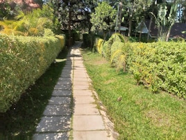 Estúdio conforto, vista para o jardim | Área da propriedade