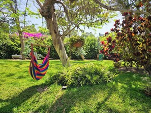 Casa, vista para a piscina | Área da propriedade