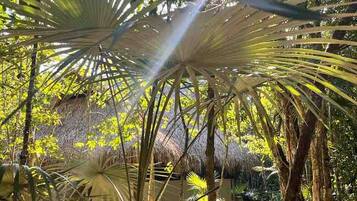 Casa, 4 quartos, varanda, vista para o jardim | Terrenos do alojamento