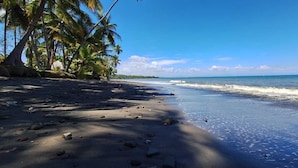 Uma praia com palmeiras, areal e o oceano.