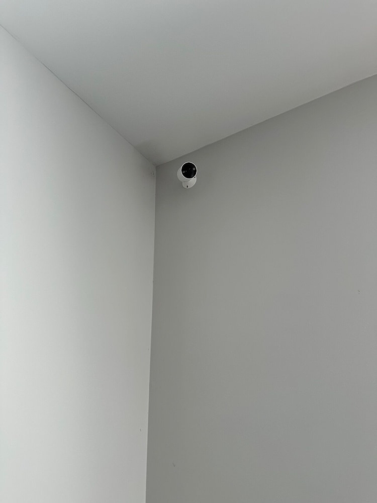 Chestnut Hostel - North Carolina