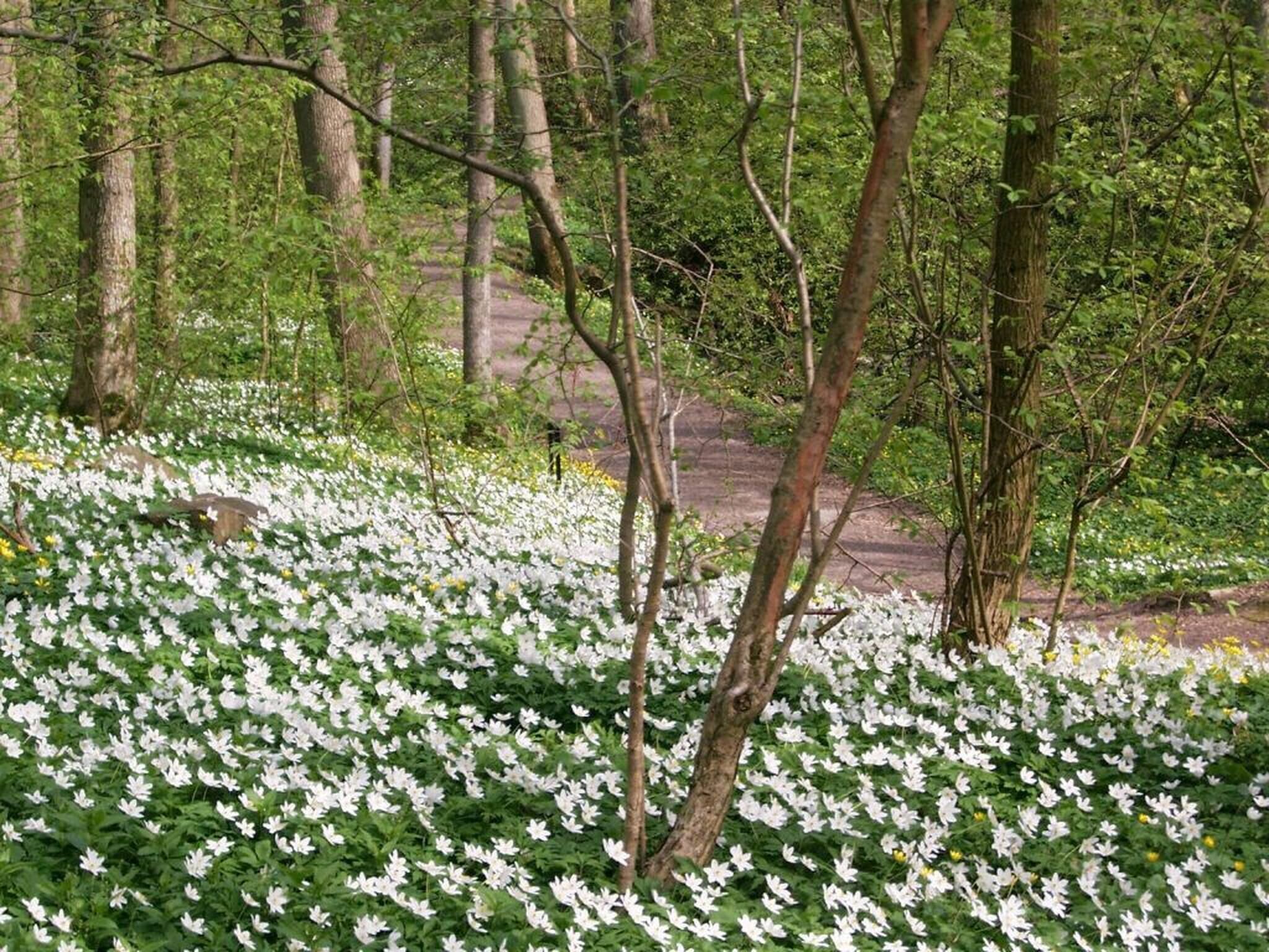 Casa, 3 quartos, fumadores, varanda | Terrenos do alojamento