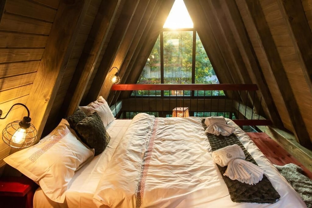 Hai La Munte Bran - Bran