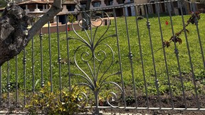 Um pátio com cerca de metal, uma árvore e um edifício com várias varandas e arcos.