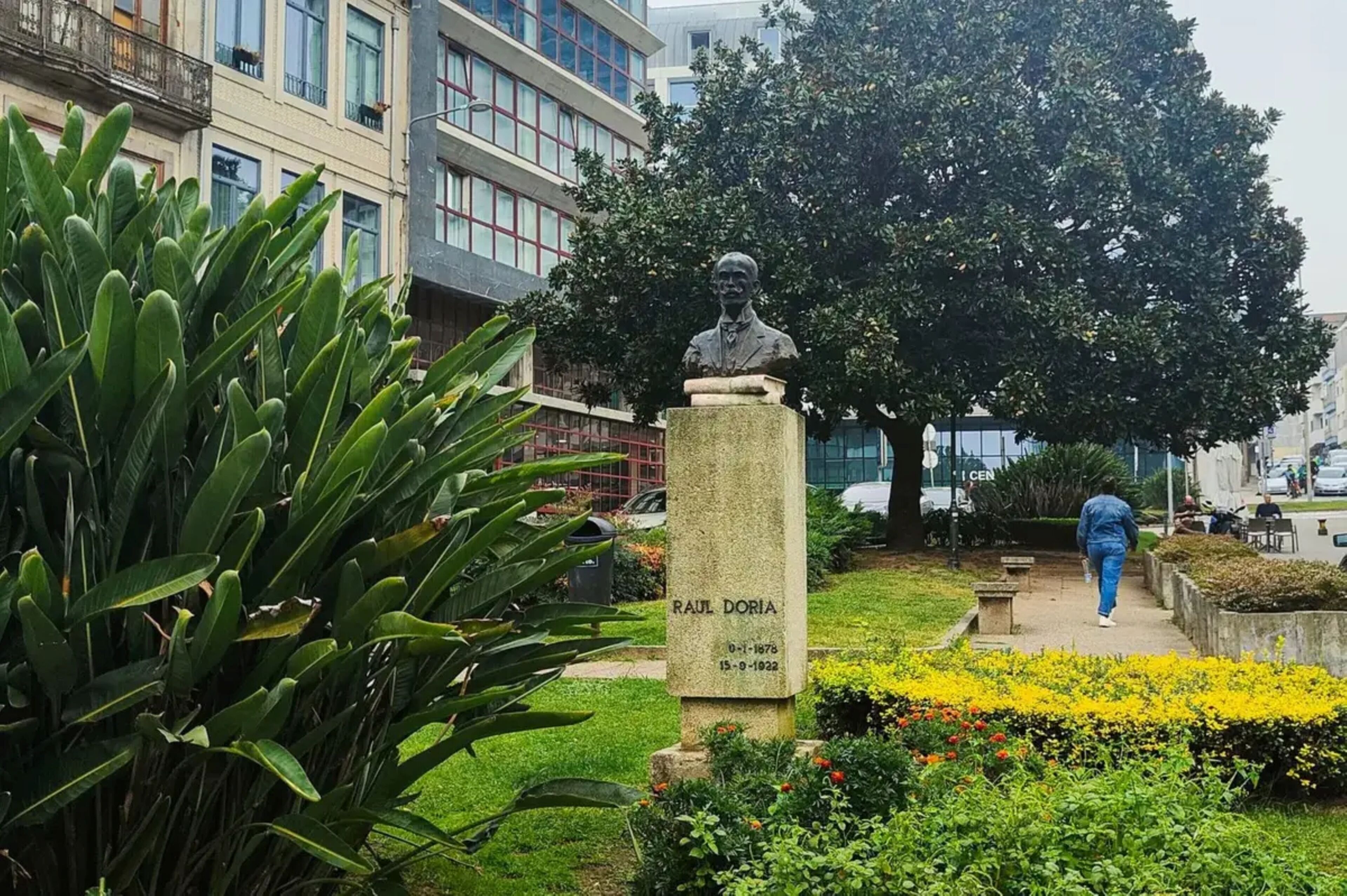 Área da propriedade