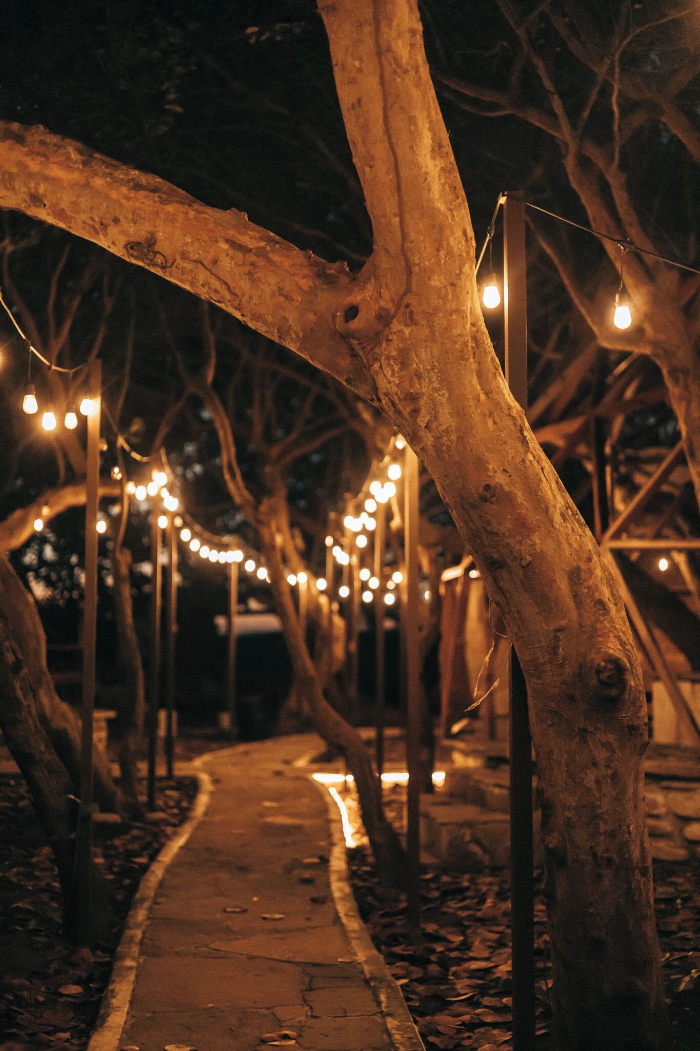 Terrenos do alojamento