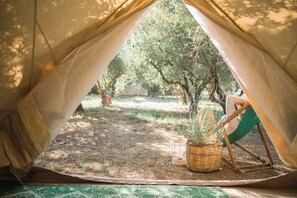 Terrenos do alojamento