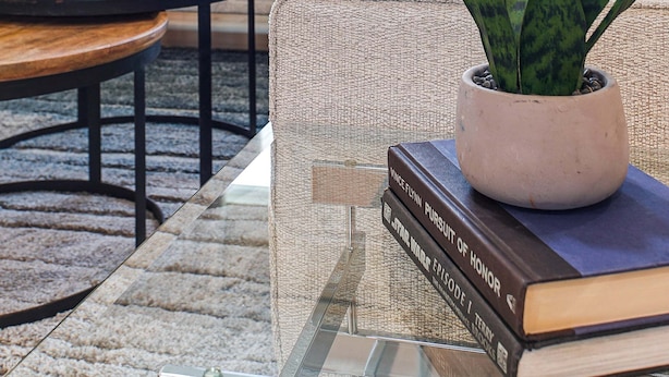 Uma sala de estar com sofá, mesa de centro, planta em vaso e estante de livros.