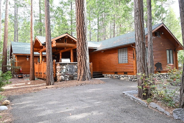 Grizzly Giant - Wawona, CA