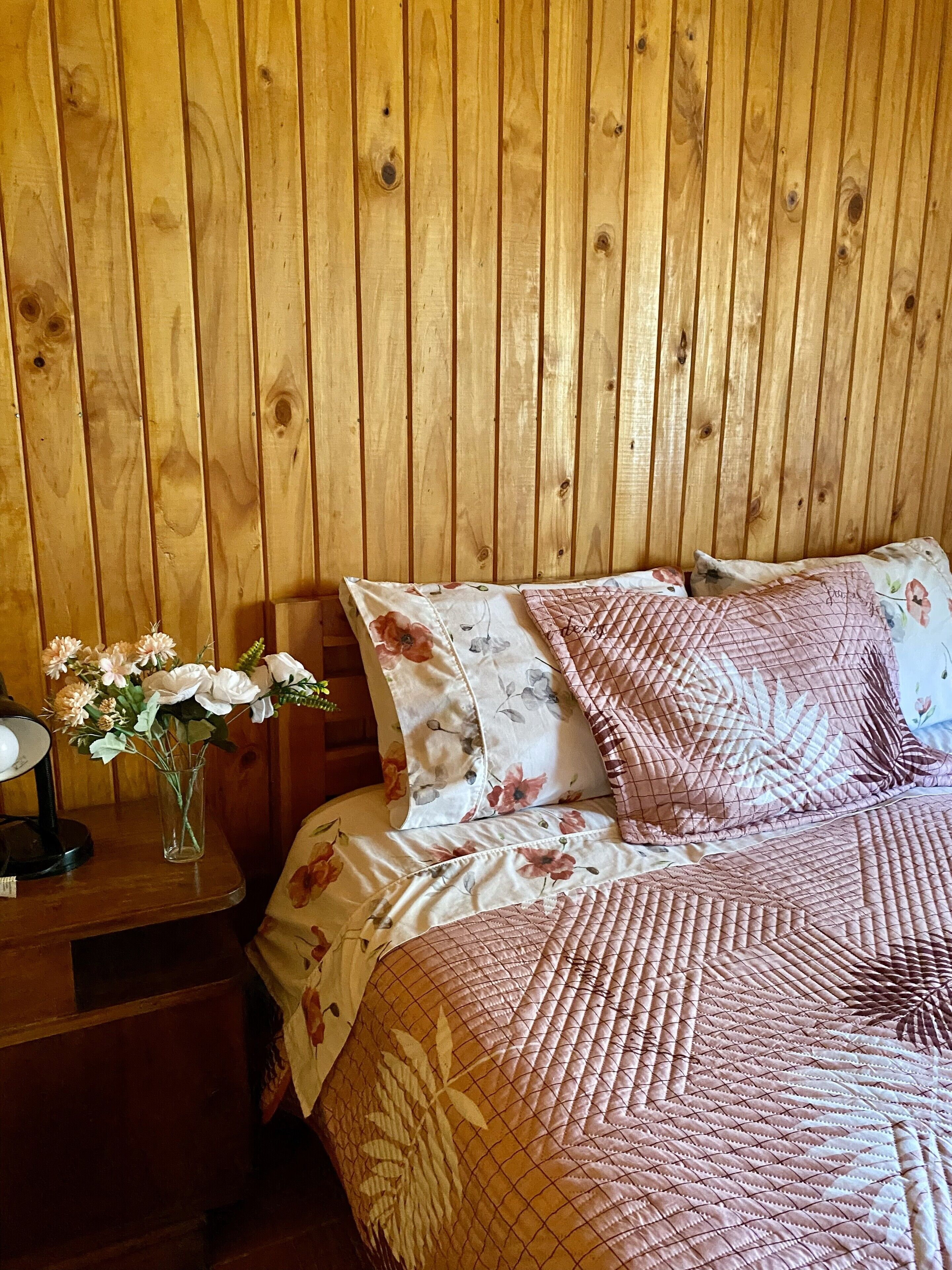 Cabaña Anny 1 - Región de Maule, Chile