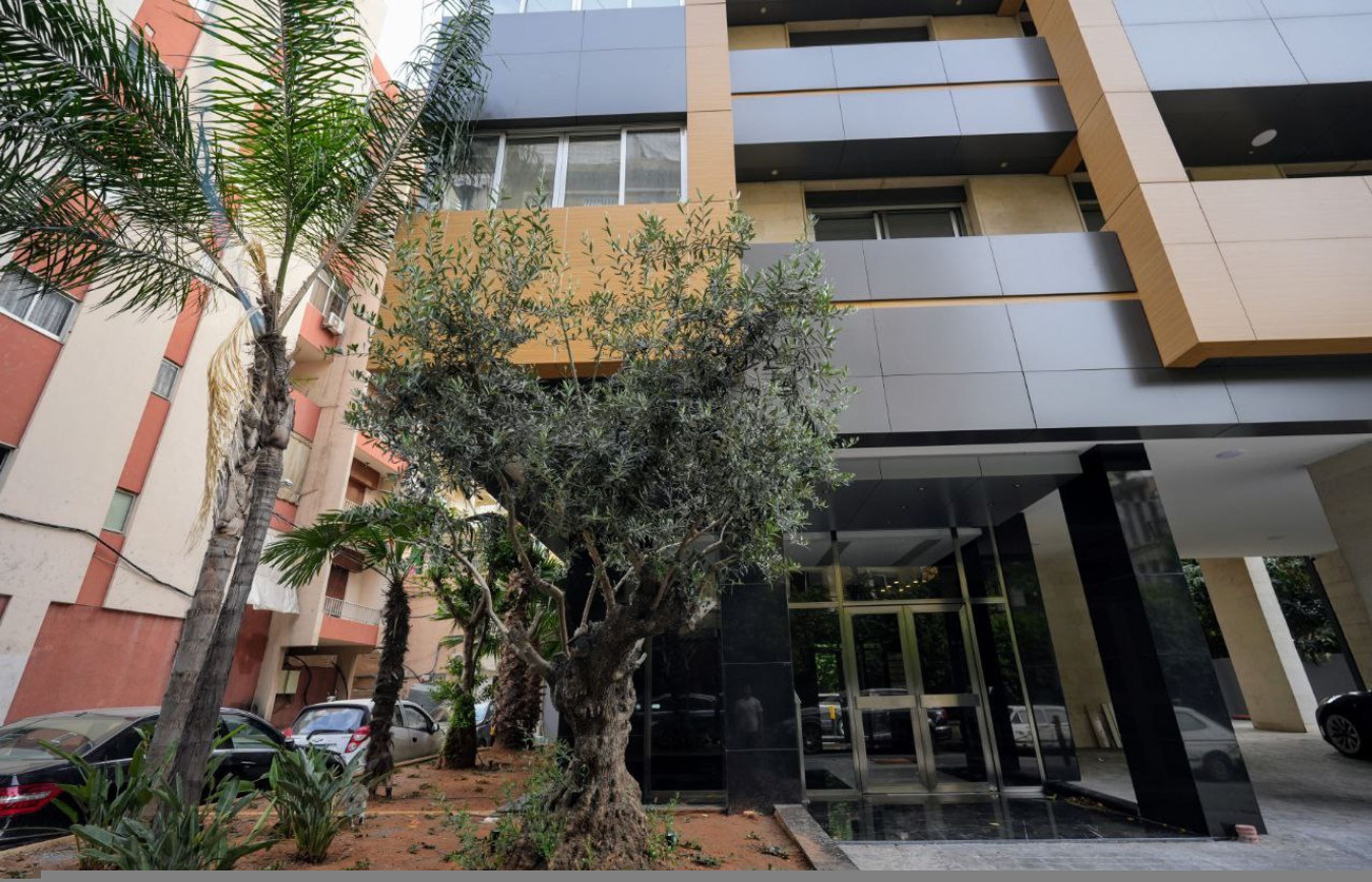 Apartamento | 3 quartos 