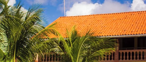 Piscina externa