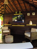 Televisor