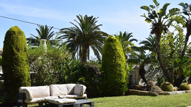 Um jardim com um sofá bege e uma mesa de centro de madeira, rodeado por diversas plantas e uma palmeira.
