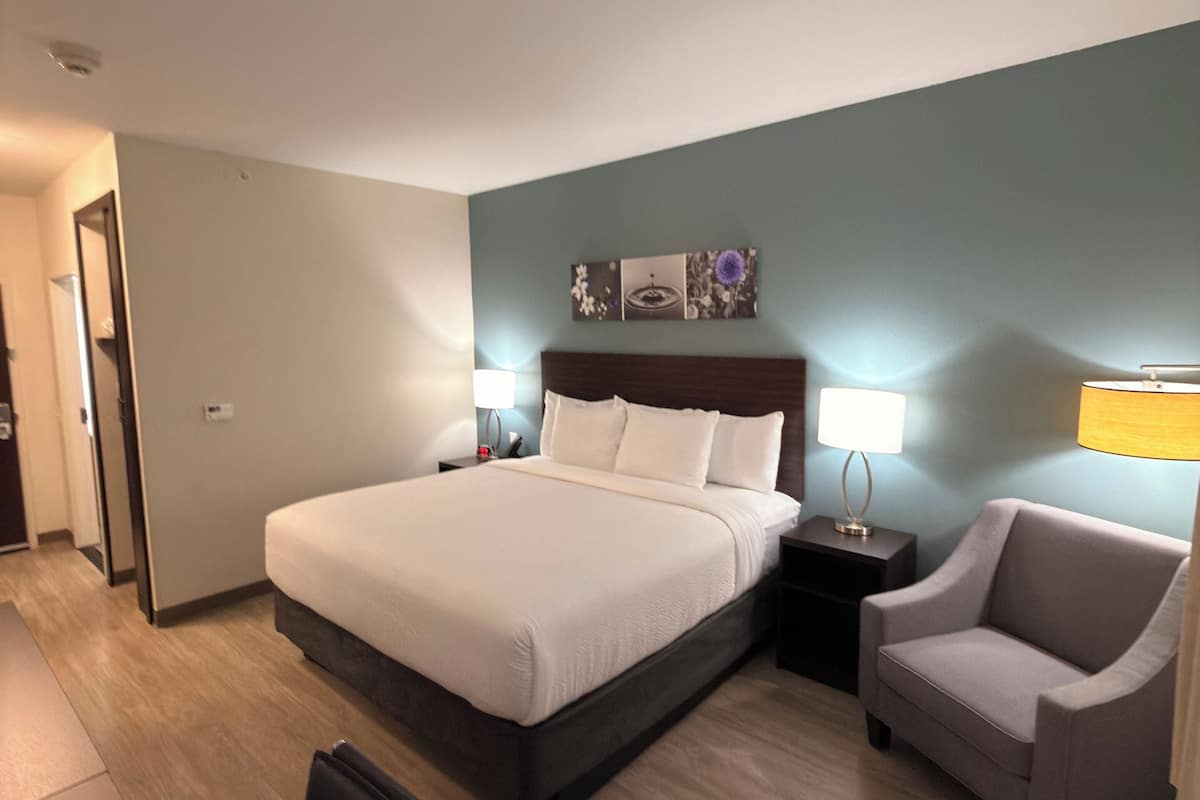 Quarto Standard, 1 cama king-size, não fumadores | Com mobília individualizada, secretária