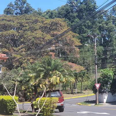 Room-rooms For Rent, Roommates, Or As B&