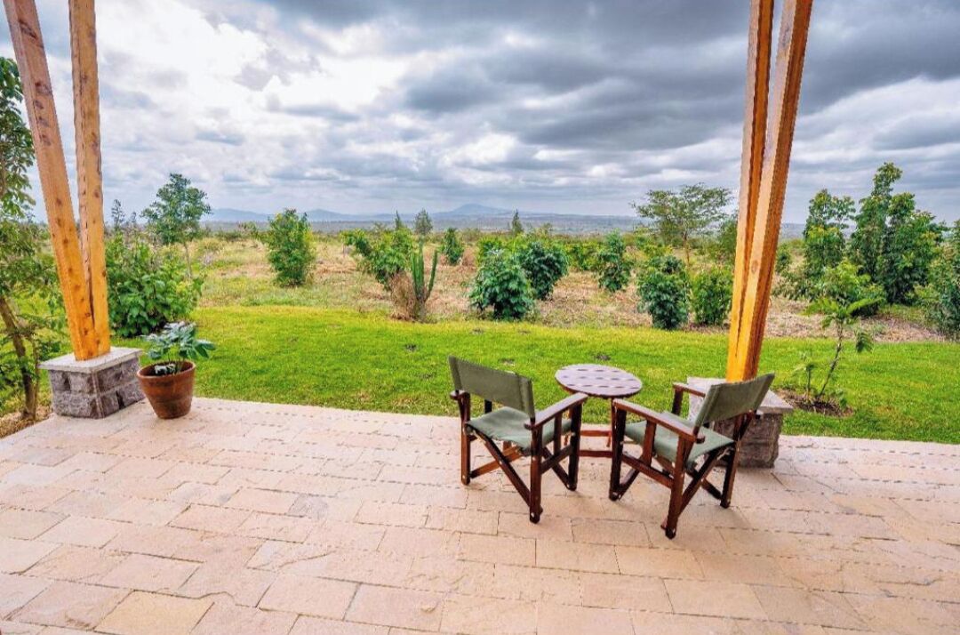 Refeições ao ar livre