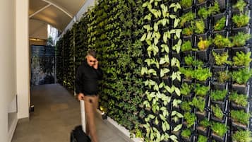 Entrada (vista interna)