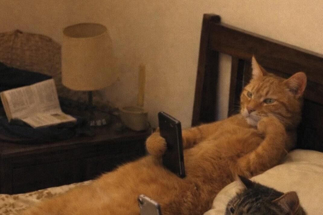 Mountain Chalet With Artist's Studio. Pets Welcome! - Aix-en-Provence