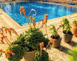 Piscina externa sazonal