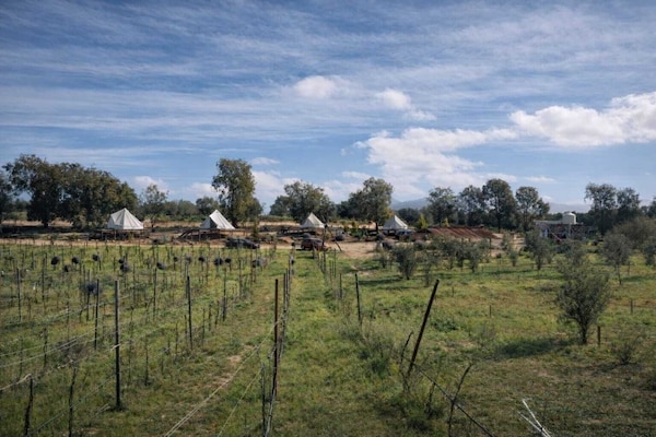 Cosmo Glamping - Baja California