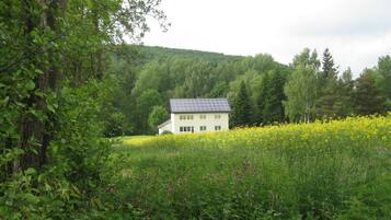 Uma casa com telhado solar, rodeada por vegetação densa e um campo de flores amarelas.