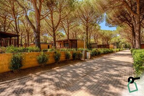 Jardim