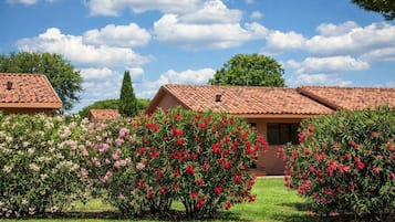 Terrenos do alojamento