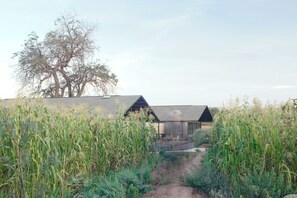 Terraço/pátio interior