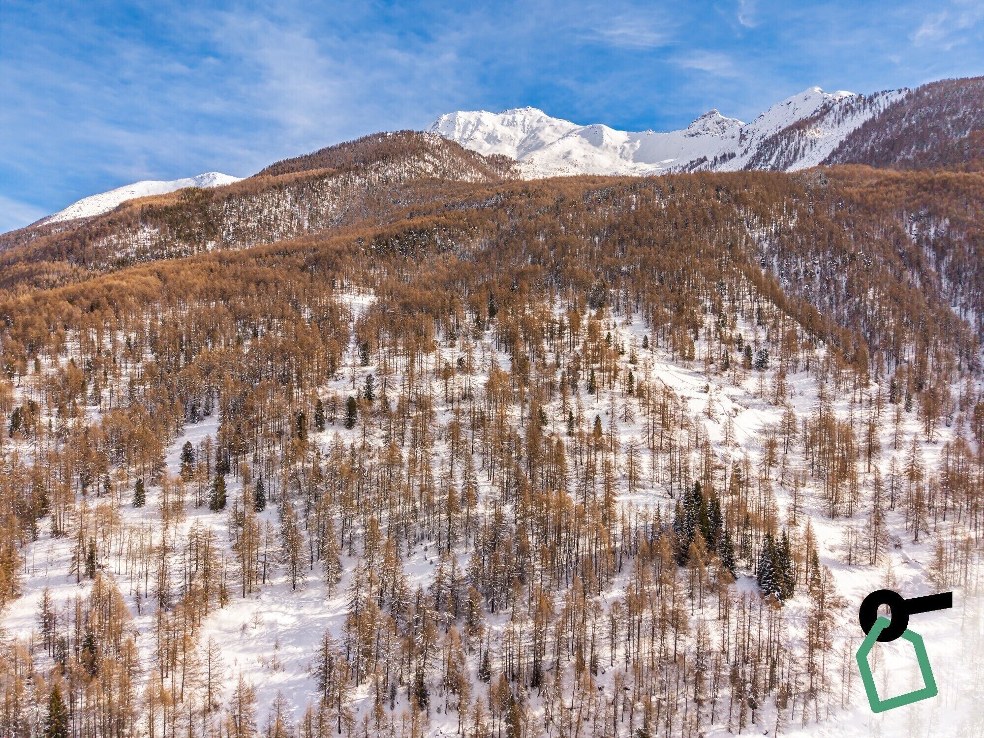 Paisagem montanhosa com picos cobertos de neve e um vale florestado.