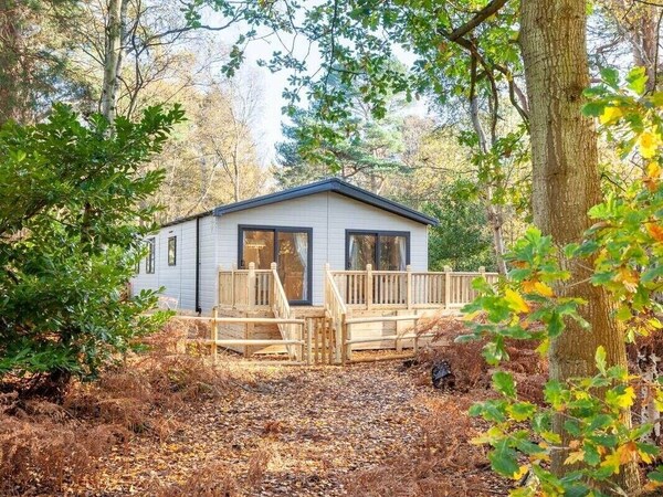 Azenor Lodge - Kelling Heath Holiday Park - 16221 - Norfolk