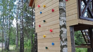 Paredão de escalada de madeira com pontos de apoio de diversas cores, rodeado por bétulas numa floresta.